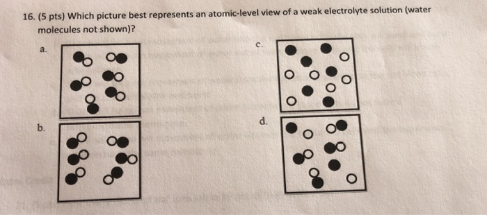 Solved 16 5 Pts Which Picture Best Represents An