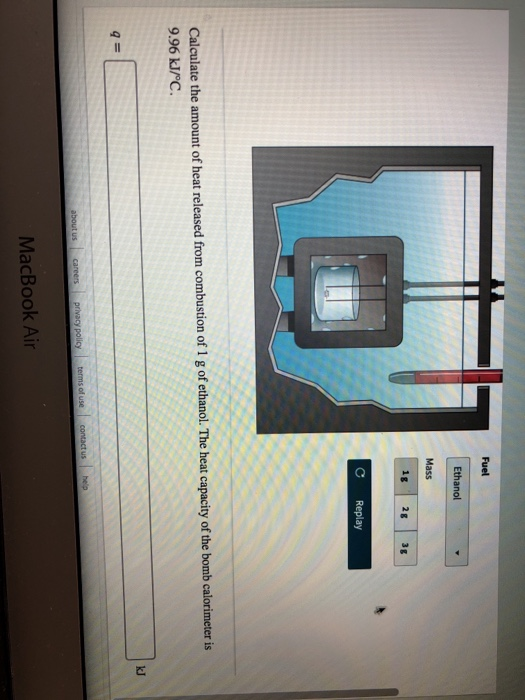 Solved Use the interactive to observe the temperature change | Chegg.com