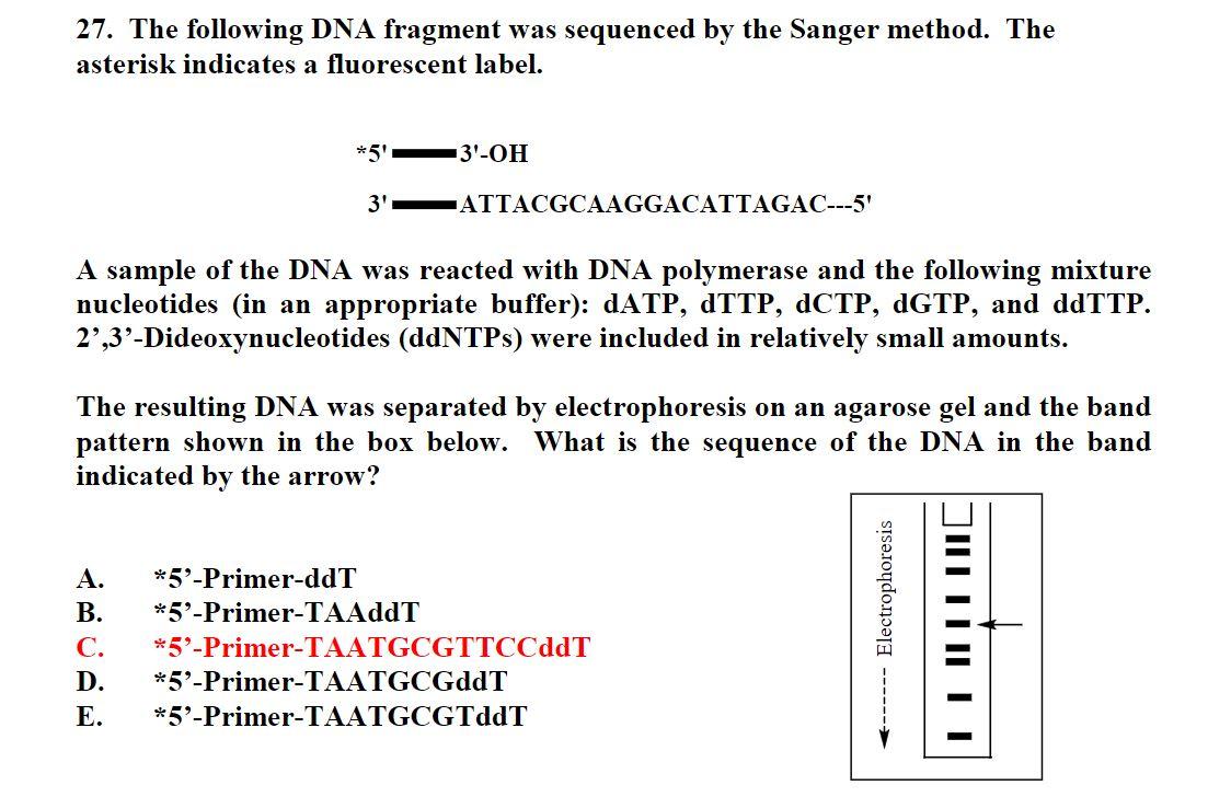 Solved 27. The following DNA fragment was sequenced by the | Chegg.com