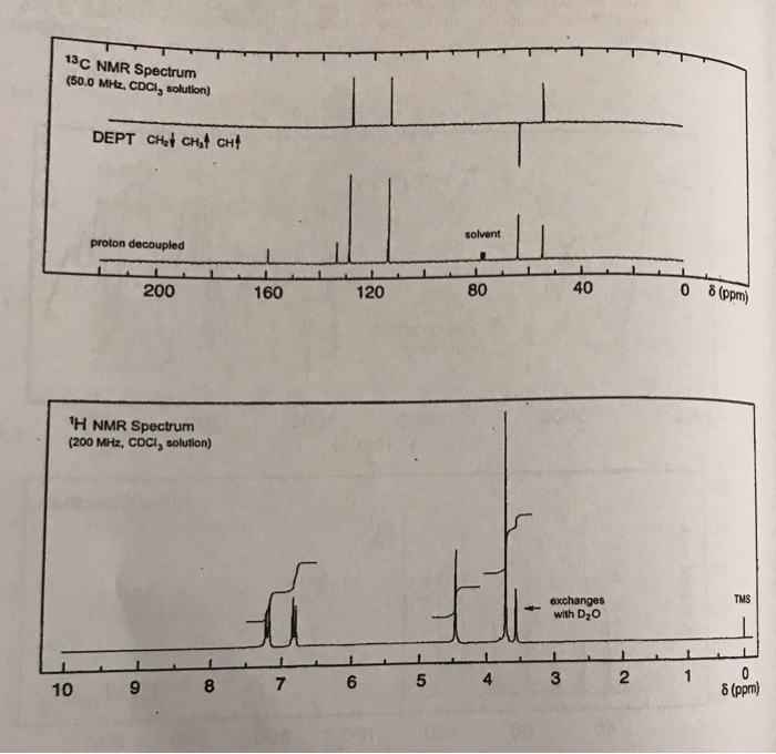Solved The 1H NMR, 13C NMR, mass and IR spectra of compound | Chegg.com