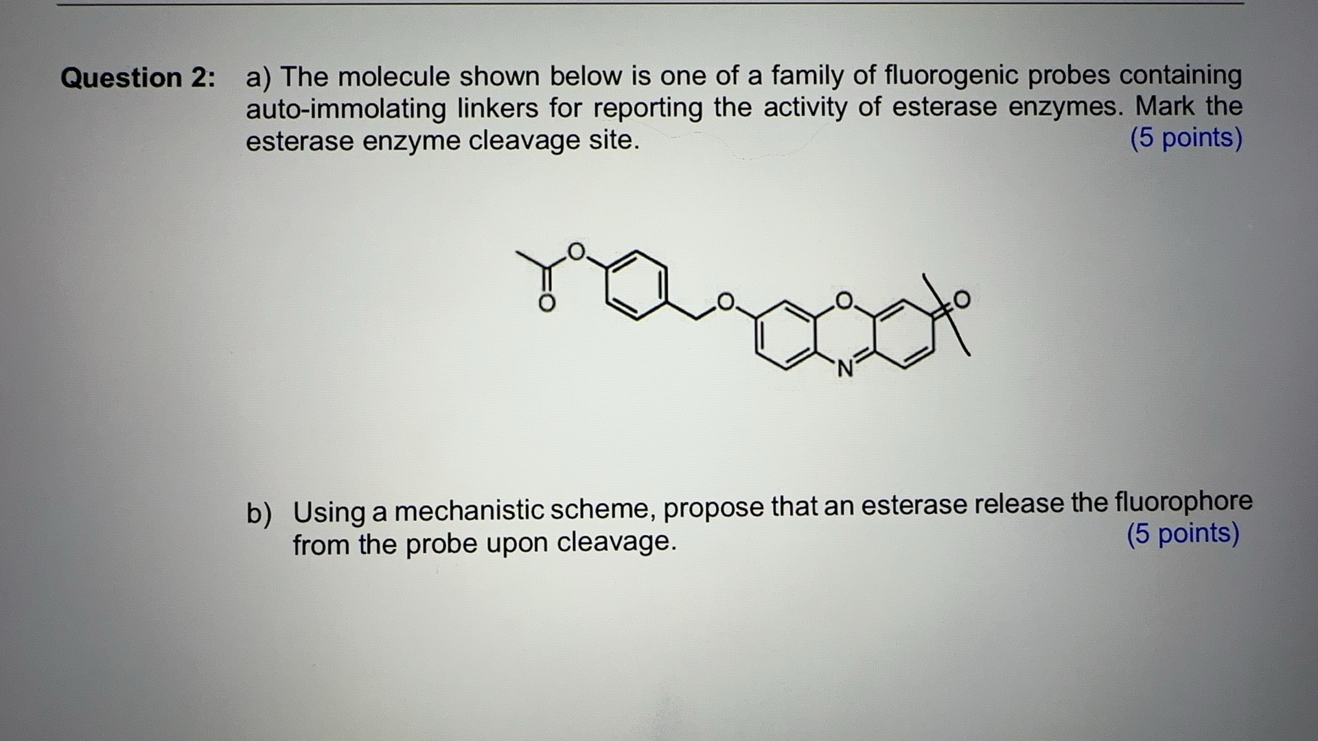 Solved Question 2: a) The molecule shown below is one of a | Chegg.com