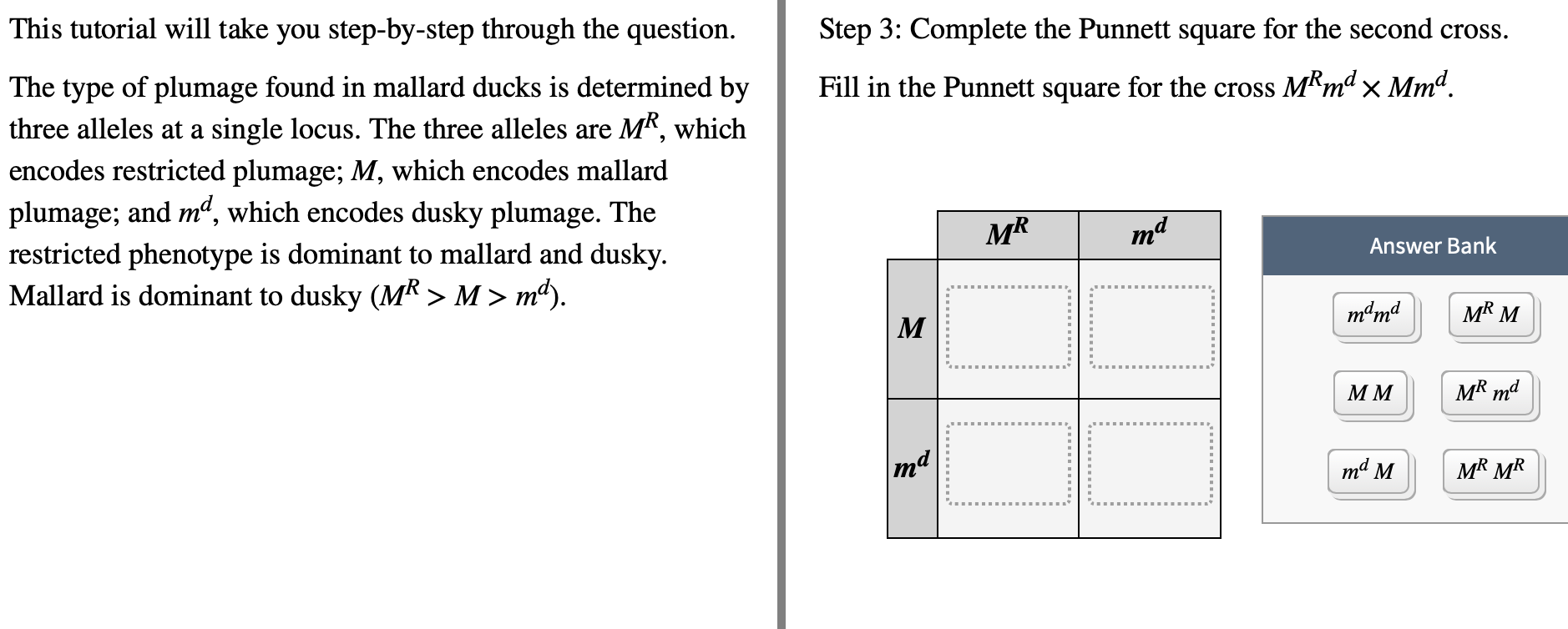 Solved This tutorial will take you step-by-step through the | Chegg.com