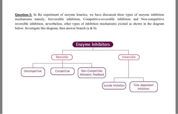 Solved Question-3: In the experiment of enzyme kinetics, we | Chegg.com