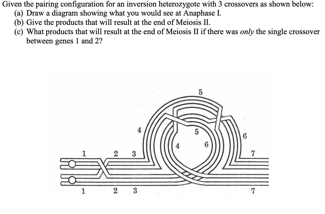 Solved Given the pairing configuration for an inversion | Chegg.com