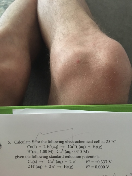 Solved Calculate E For The Following Electrochemical Cell At