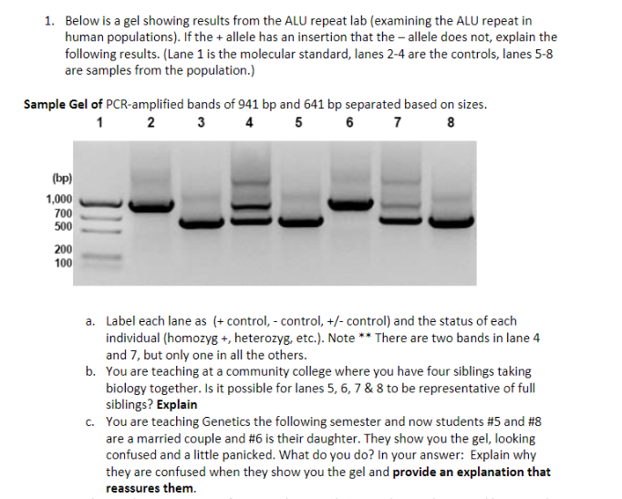 Solved 1. Below is a gel showing results from the ALU repeat | Chegg.com