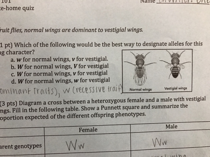 Biology Archive | April 09, 2017 | Chegg.com