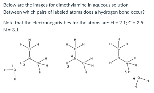 Solved Below are the images for dimethylamine in aqueous | Chegg.com