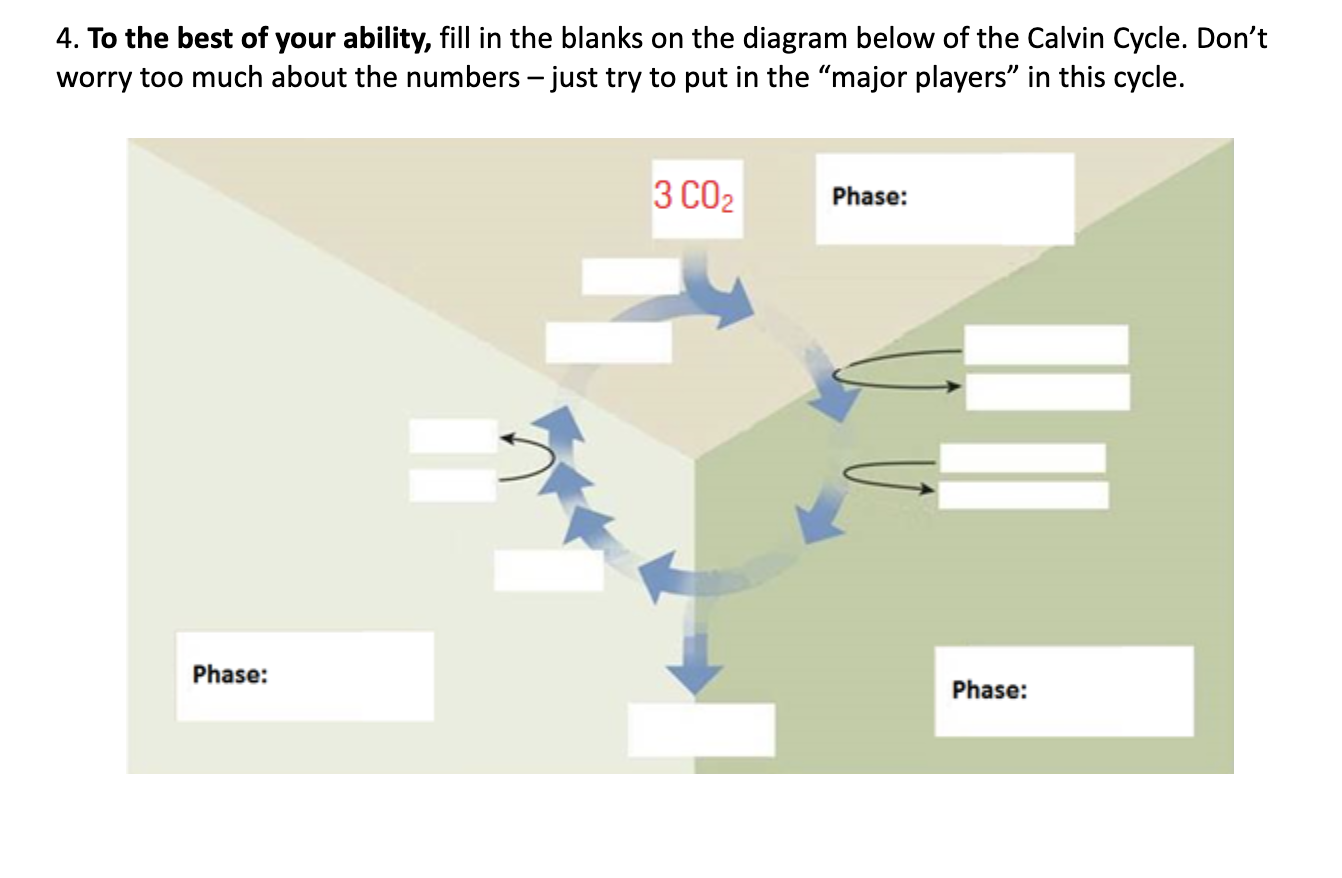 Solved 4. To the best of your ability, fill in the blanks on | Chegg.com