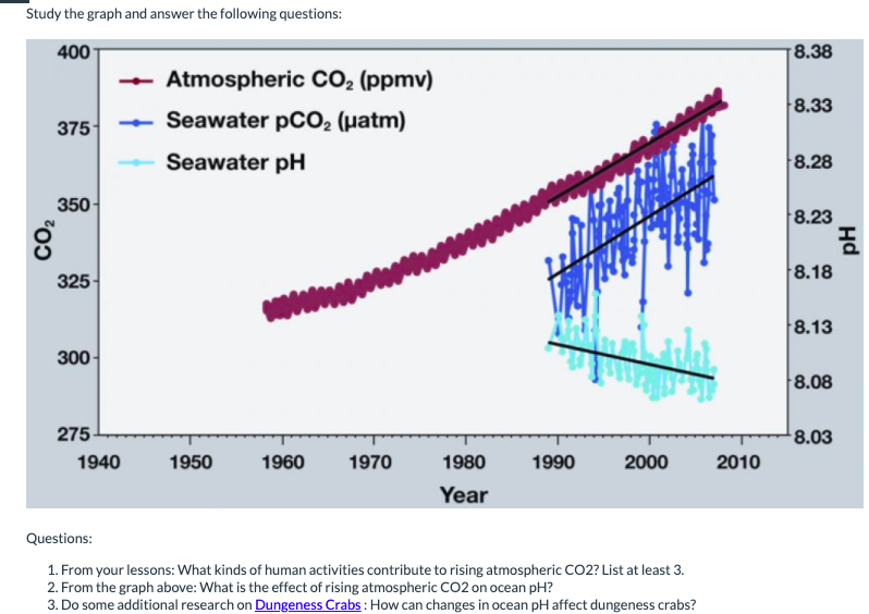 Solved Study the graph and answer the following questions: | Chegg.com
