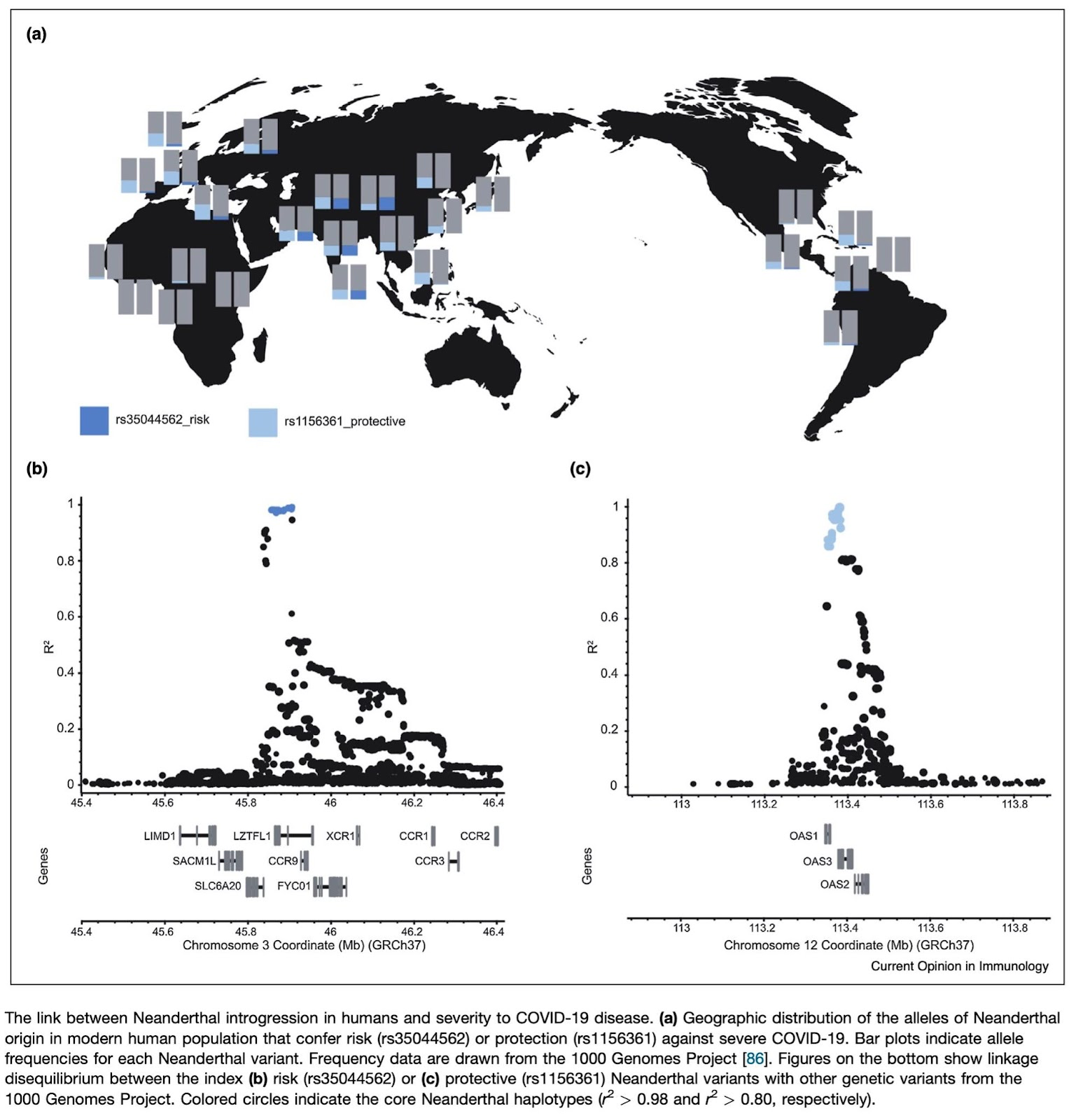What can you say about the distribution of adaptive | Chegg.com