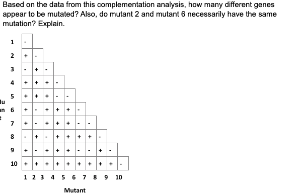 Solved Based on the data from this complementation analysis, | Chegg.com