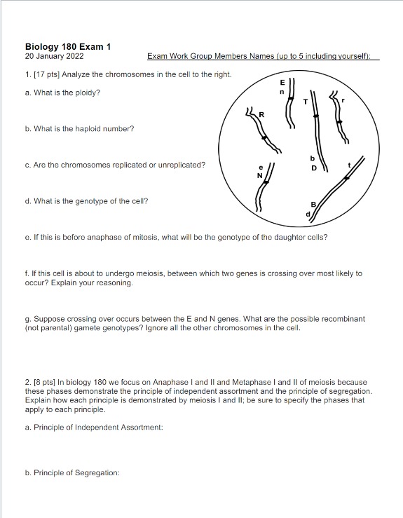 Solved Biology 180 Exam 1 20 January 2022 Exam Work Group | Chegg.com