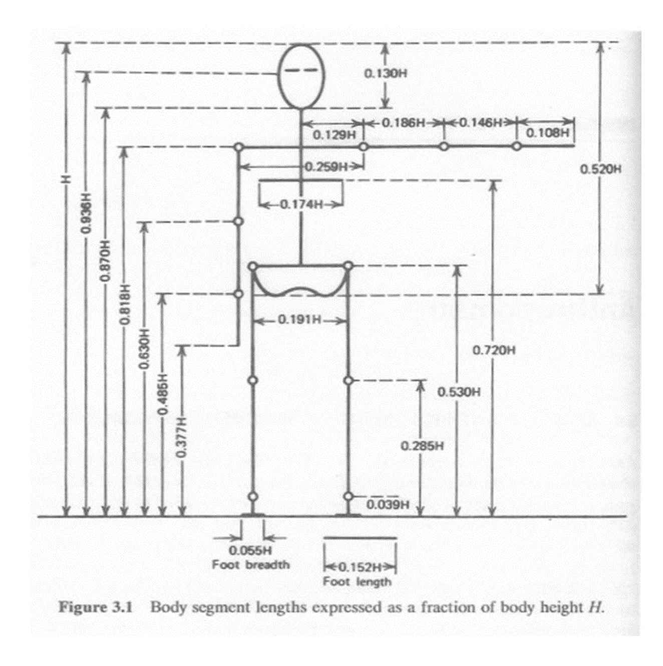 Figure 3.1 Body segment lengths expressed as a | Chegg.com