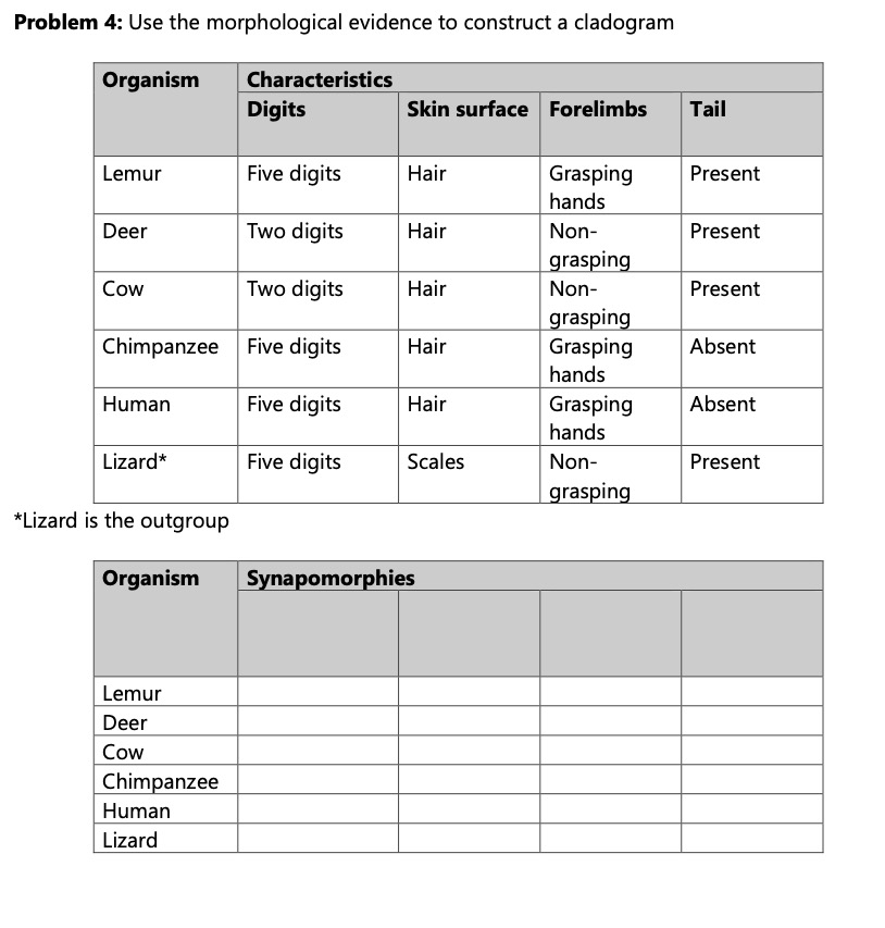 Problem 3: Use the morphological evidence to | Chegg.com