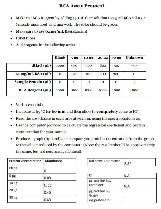 Solved BCA Assay Protocol • Make the BCA Reagent by adding | Chegg.com