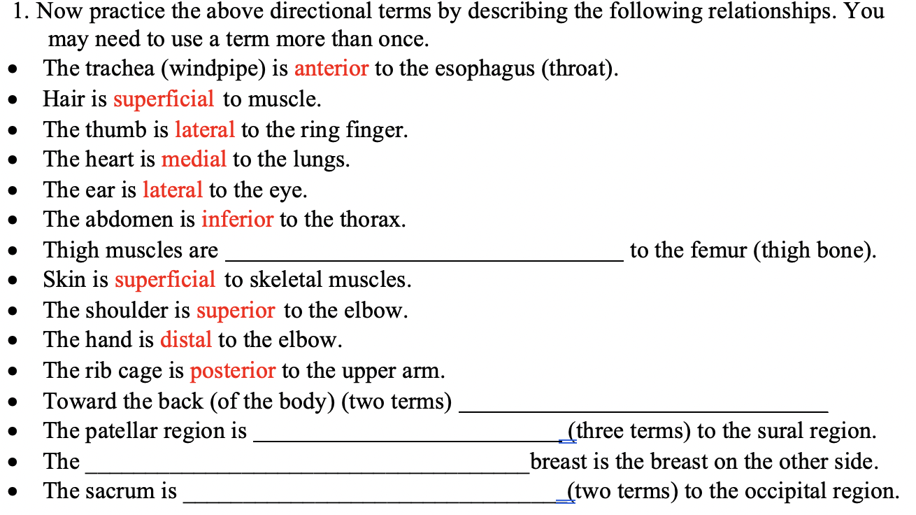 Solved 1. Now practice the above directional terms by | Chegg.com