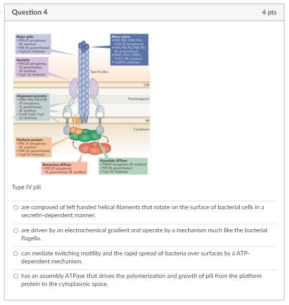 Solved Question 4 4 pts Major plin PIA. Math - PIEN. hoa WA | Chegg.com