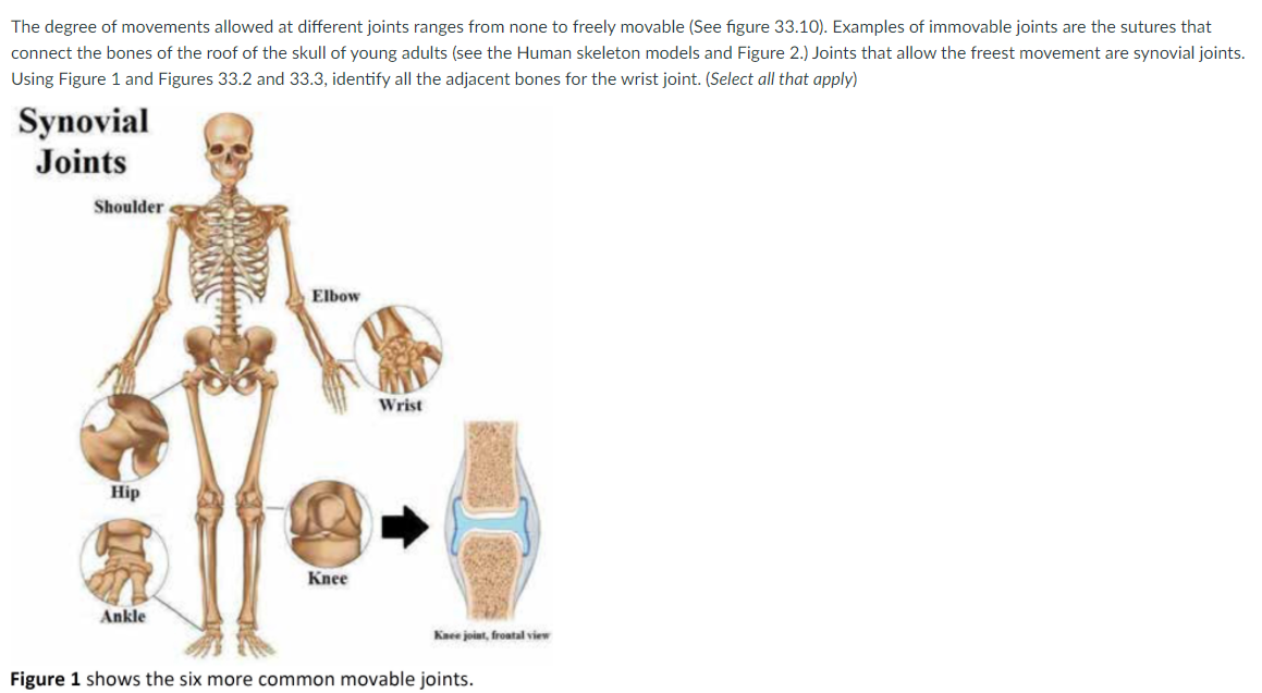 Solved The degree of movements allowed at different joints | Chegg.com