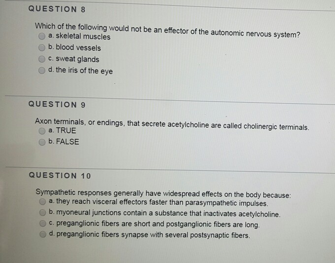 Solved QUESTION 8 Which of the following would not be an | Chegg.com