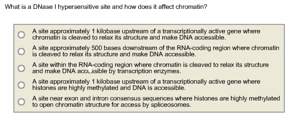 Solved What is a DNase I hypersensitive site and how does it | Chegg.com