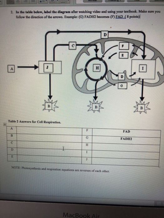 Solved aBbCcDdE AaBbCcD AaBbCcD Aa BbCcDdEe 2. In the table | Chegg.com