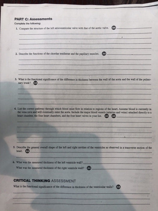 Solved PART C: Assessments Complete the following: 1. | Chegg.com