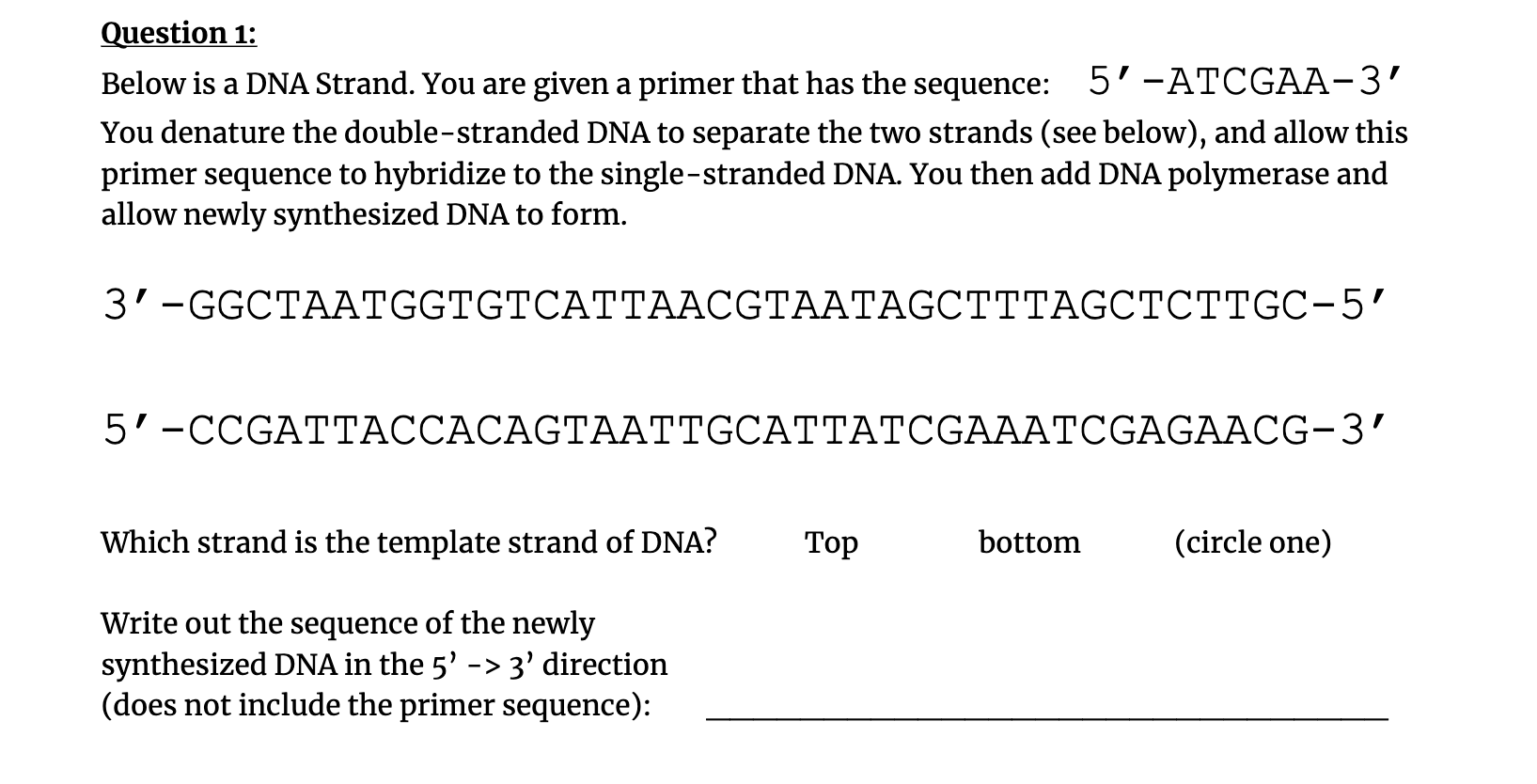 Solved Below is a DNA Strand. You are given a primer that | Chegg.com