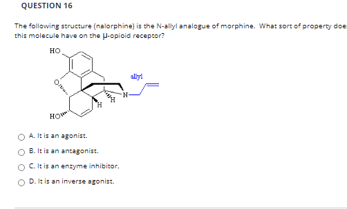Solved QUESTION 16 The following structure (nalorphine) is | Chegg.com
