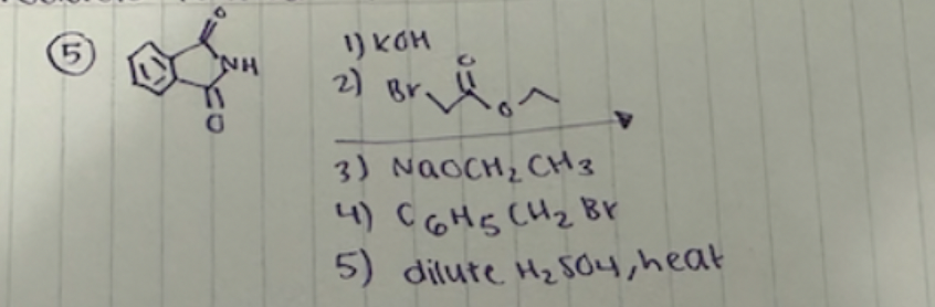 Solved 1) KOH 3) NaOCH2CH3 4) C6H5CH2BK 5) dilute H2SO4, | Chegg.com