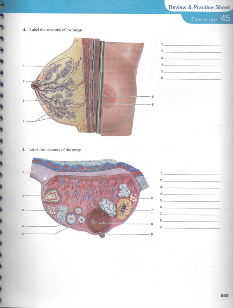 Solved Review &Practice Sheet Exercise 45 4. Label the | Chegg.com