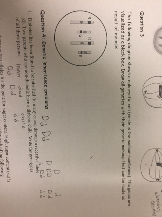 Solved OA. Question 3 The following diagram shows a | Chegg.com