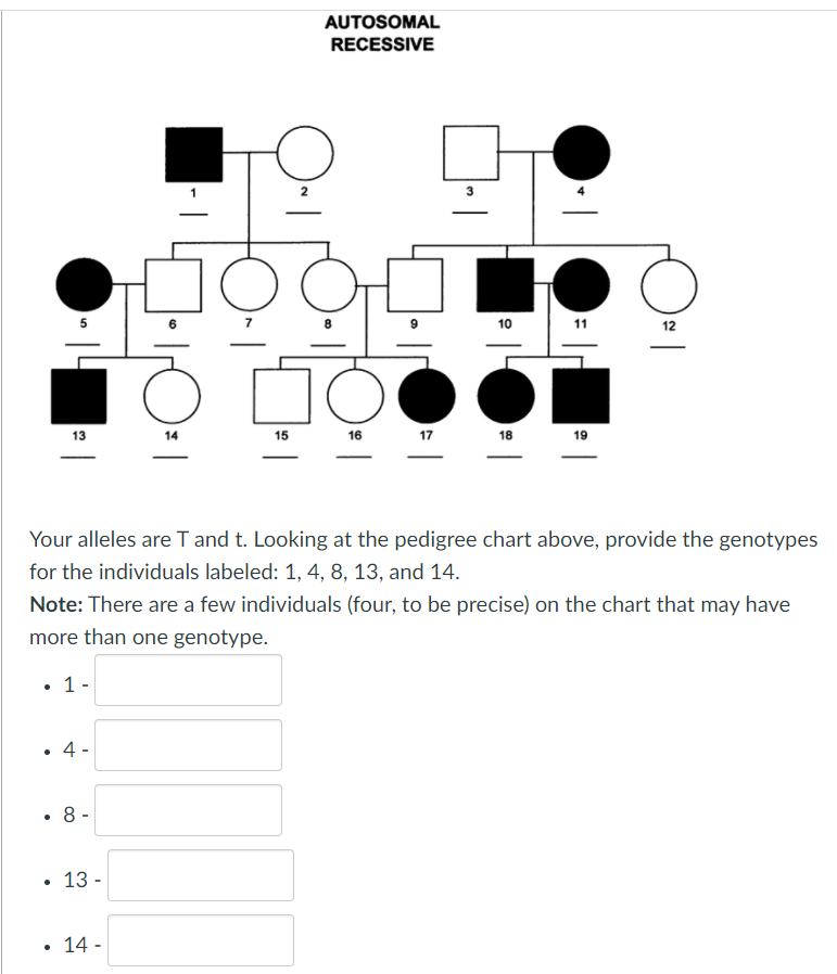 Solved AUTOSOMAL RECESSIVE - 5 9 10 12 - 1 13 14 15 16 17 18 | Chegg.com