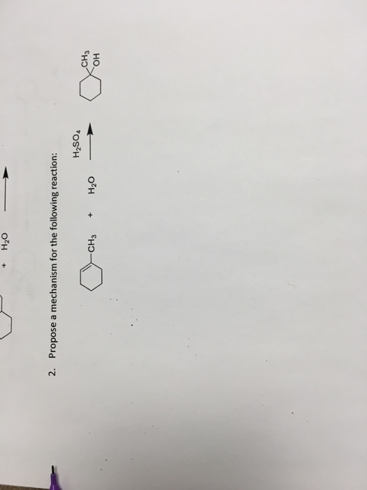 Solved + H20 2. Propose a mechanism for the following | Chegg.com