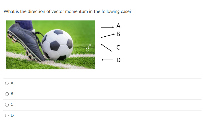 Solved What is the direction of vector momentum in the | Chegg.com