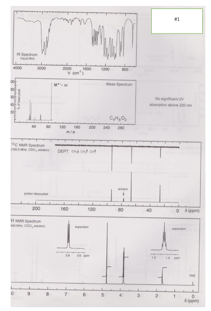 Solved Draw the structure and label each section to support | Chegg.com