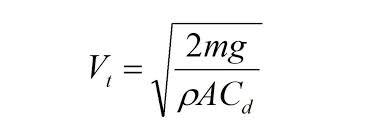 Solved Vt = terminal velocity m = mass | Chegg.com