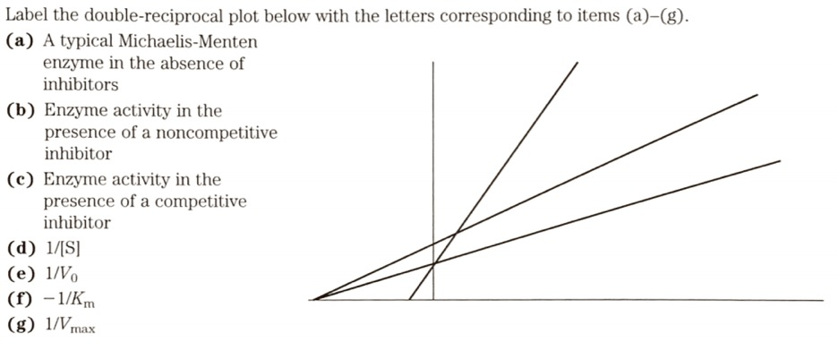 Solved Label the double-reciprocal plot below with the | Chegg.com