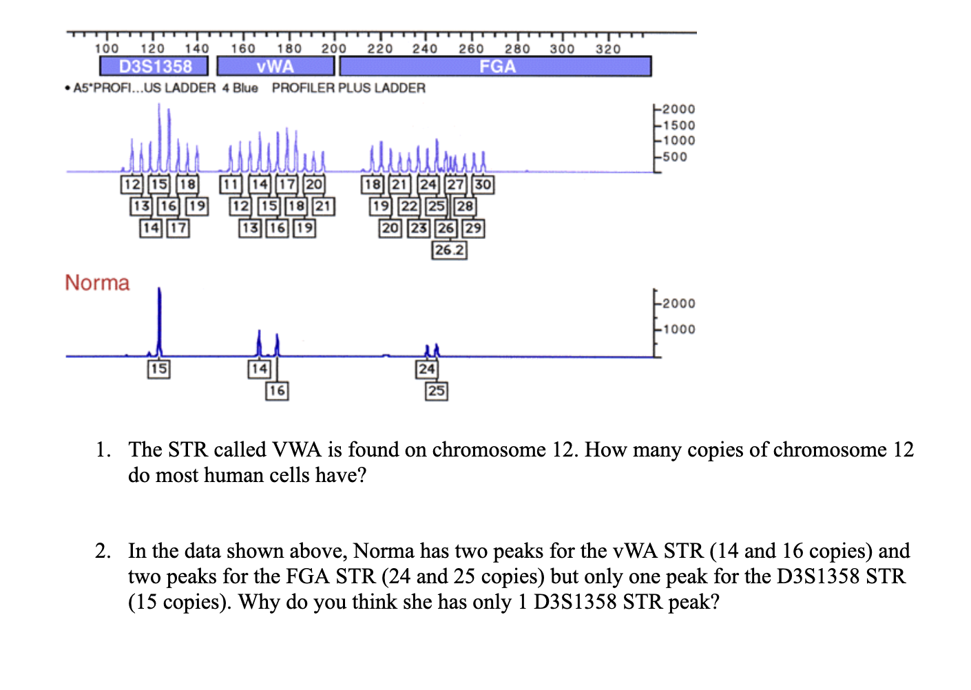 Solved 1. The STR called VWA is found on chromosome 12. How | Chegg.com
