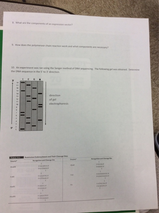 Solved 8. What are the components of an expression vector? | Chegg.com