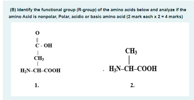 Solved (B) Identify the functional group (R-group) of the | Chegg.com