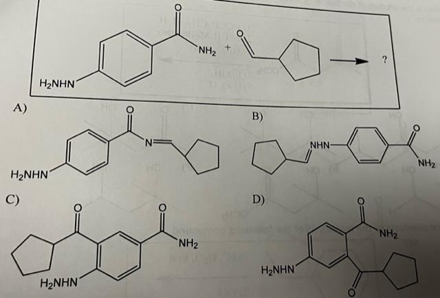 Solved 1) H4, H,O, heat 2) OH A) NH2 B) NH2 TO C) D) OH HO- | Chegg.com