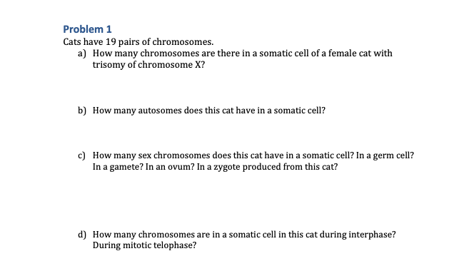 Solved Problem 1 Cats have 19 pairs of chromosomes. a) How | Chegg.com