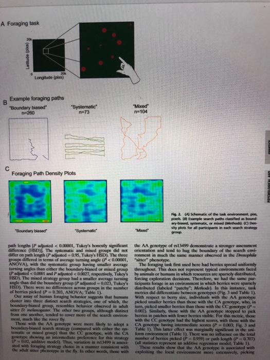 Solved Self-regulation and the foraging gene (PRKG1) | in | Chegg.com