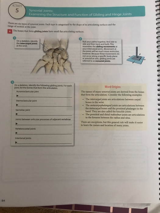 Solved ACTIVITY 5 Synovial Joints: Examining the Structure | Chegg.com