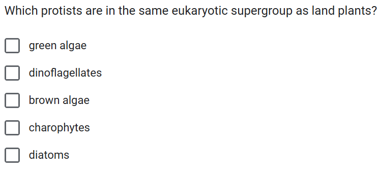 Solved Which protists are in the same eukaryotic supergroup | Chegg.com