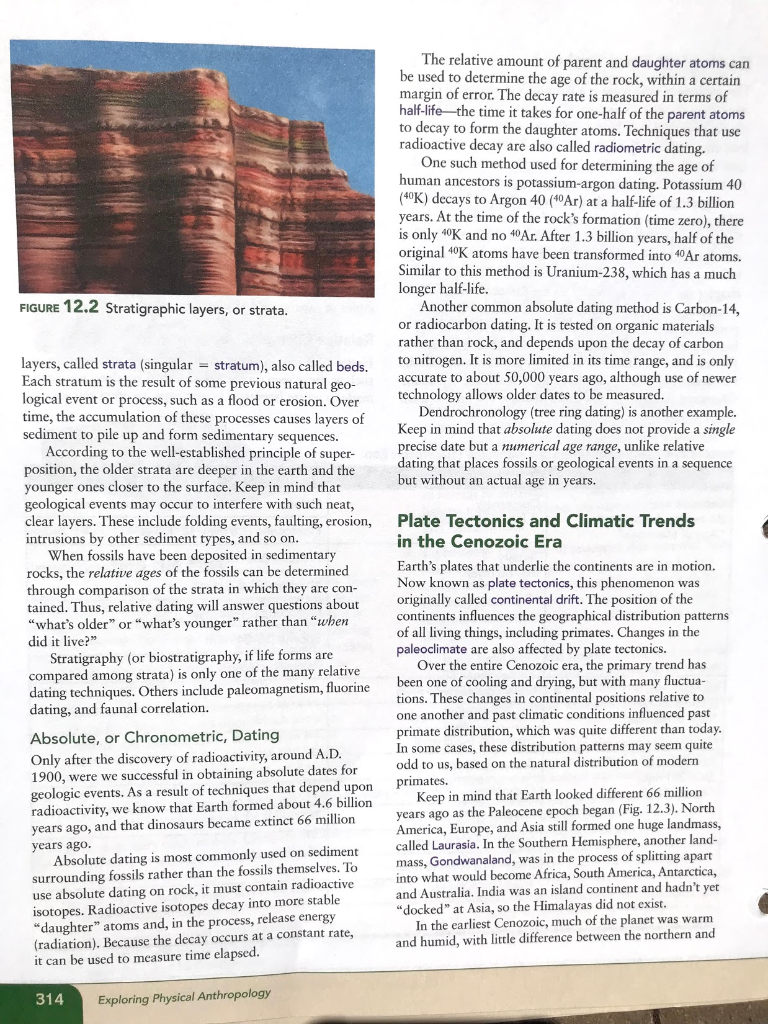 Solved The relative amount of parent and daughter atoms can | Chegg.com