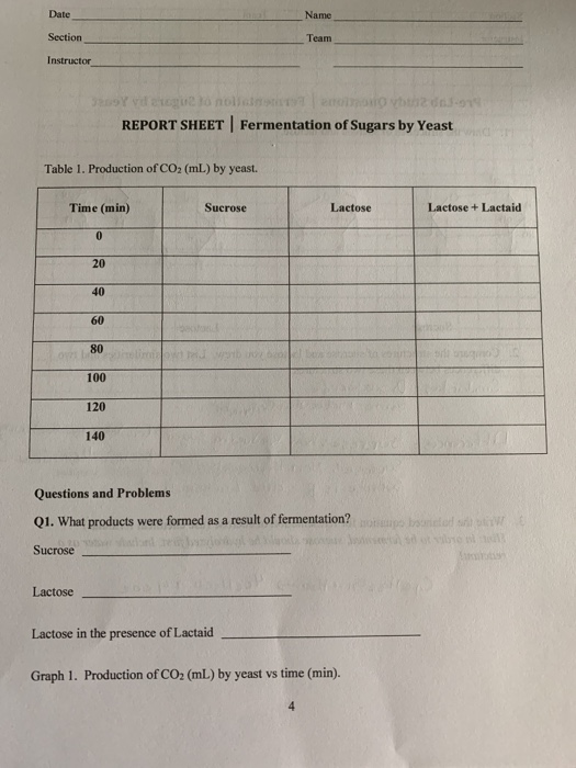Solved Date Section Instructor Name Team REPORT SHEET | | Chegg.com Solved Date Section Instructor Name Team REPORT SHEET | | Chegg.com
