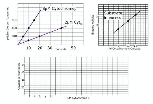 a. What is the slope of the line on your MM plot | Chegg.com