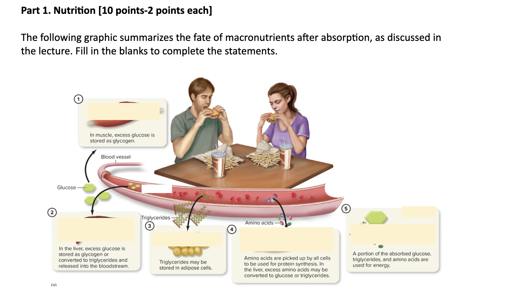 Solved Part 1. ﻿Nutrition [10 ﻿points-2 ﻿points each]The | Chegg.com